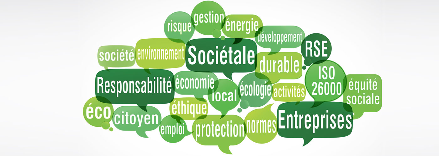 RSE - Cabinet Lamy Environnement